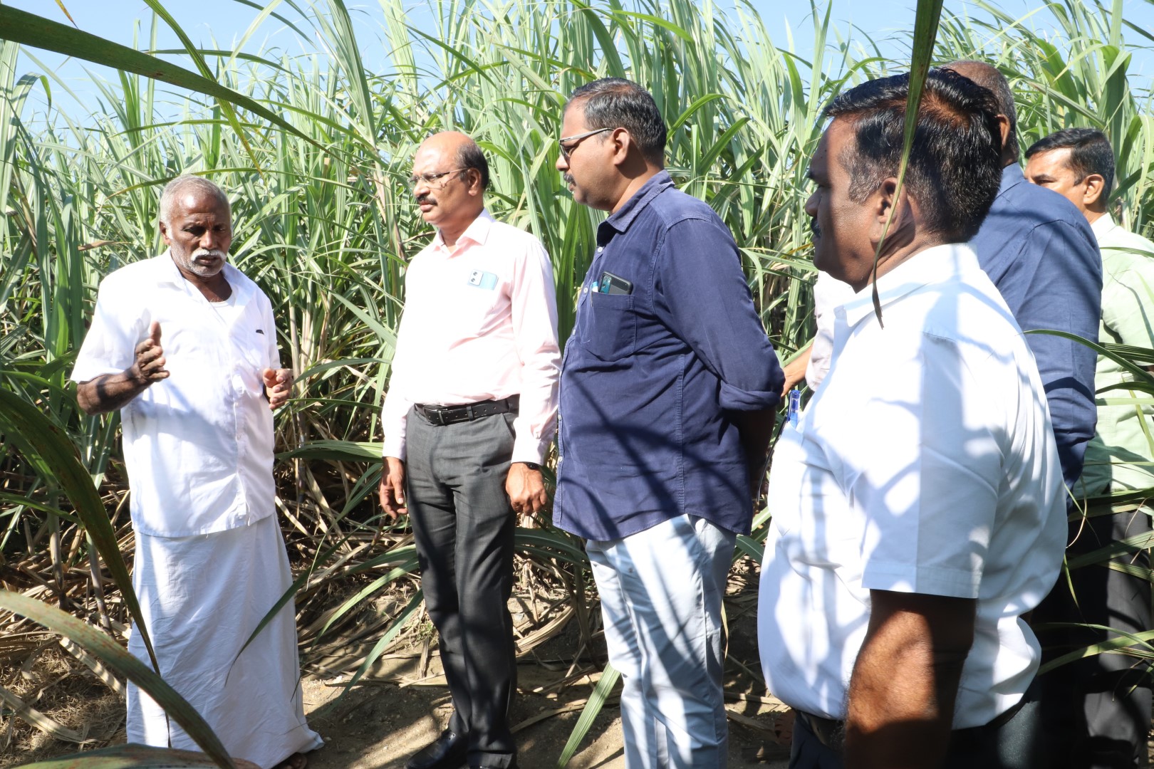 Farmer’s Corner – ICAR-Sugarcane Breeding Institute