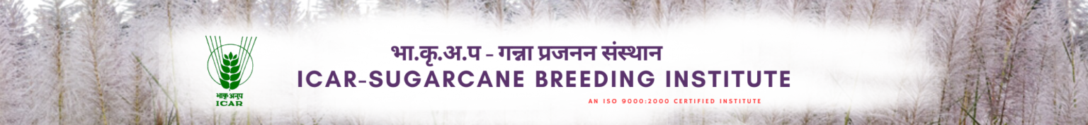 Sugarcane Varieties – ICAR-Sugarcane Breeding Institute